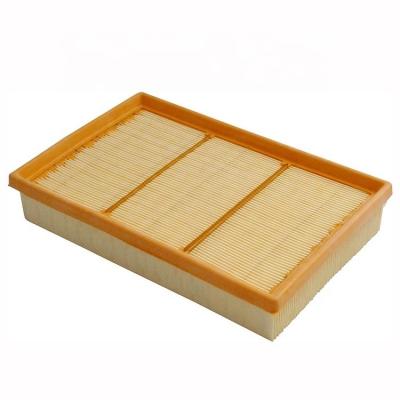 China 13713419934 C2589 Car Filter Automotive Filtros Engine Assembly Auto Parts Car Air Filter for Automobile for sale