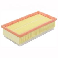 China 9651883380 13717806046 C2567 Engine Auto Parts Car Air Filter C31149 Reference NO. for European Car for sale