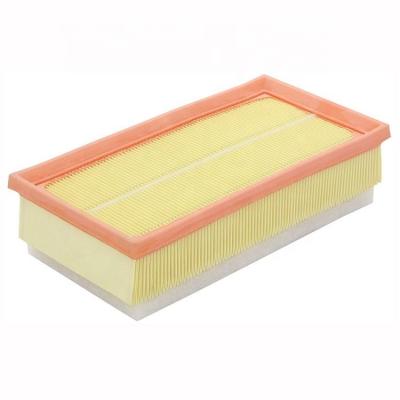 China 9651883380 13717806046 C2567 Engine Auto Parts Car Air Filter C31149 Reference NO. for European Car for sale