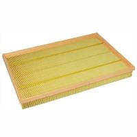 China Engine Auto Parts Car Air Filter element 13717548888 C36145 for European Car Reference NO. F026400381 Auto Engine Parts for sale