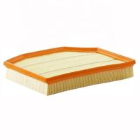 China Car Air Filter Element for European Car C29132 1371754254501 1371754254502 Reference NO. PA3598 Filtration Grade 99.97% for sale