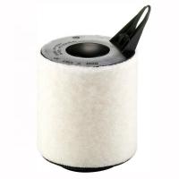 China Paper Engine Auto Parts Car Air Filter for BMW1 C1361 13717532754 European Car Engine for sale