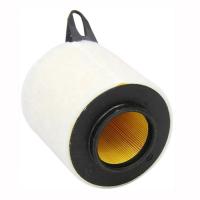 China 2004-2011 Year BMW Car Air Filter Element 13717543161 13717524412 C1370 for Engine Auto Parts for sale