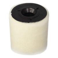 China Audi Car Fitment Auto Engine Parts Air Filter 6R0129620A for European Car C15008 for sale