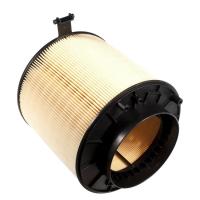 China 8K0133843 Automobile Air Filter Element For European Car C16114x 160/102*168mm for sale