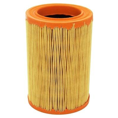 China OEM Auto Parts Air Filter 51843850 Wear Resistance For European Car C15005 for sale