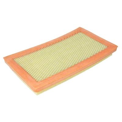China ALFA ROMEO C3177 Automotive Air Filter 60538923 71736130 Auto Parts Air Filter 60570436 for sale