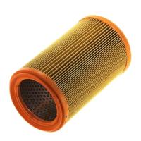 China Car Air Cleaner Element C15130 for Engine 3.0 V6 24V 936A1 Auto Air Filter for sale