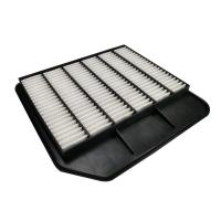 China Auto Spare Parts Car Air Filter 165461LK0E 165461LK0A for QX80/QX56/PATROL III Y62 by A-61980 No for sale