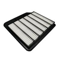China Auto Spare Parts Car Air Filter 165461LK0E 165461LK0A for QX80/QX56/PATROL III Y62 by A-61980 No for sale