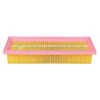 China Heavy Duty Plant Filters H816810140071  P784906 SKL46028 C4197/1 SC50022 for sale