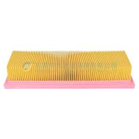 China Heavy Duty Plant Filters H816810140071  P784906 SKL46028 C4197/1 SC50022 for sale