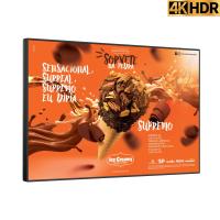 China High Brightness Digital Signage Display 43 55 Inch Shop Monitor for sale
