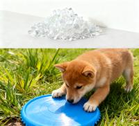 China Durable Chewable Odor-Free for Indoor Interaction/Outdoor Fetch Dog Toys TPE Granule for sale