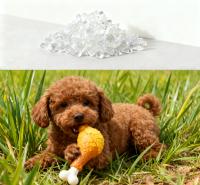 China Durable Chewable Odor-Free for Indoor Interaction/Outdoor Fetch Dog Toys TPE Granule for sale
