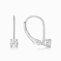 China 14K 18K 24K Gold Plumeria Full Hoop Earrings for Women Jewelry Collection for sale