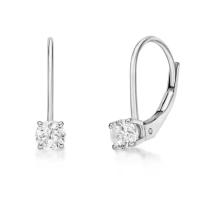 China 14K 18K 24K Gold Plumeria Full Hoop Earrings for Women Jewelry Collection for sale