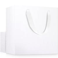China Custom Color Accepted Ribbon Handle Paper Bag for Luxury Clothing Boutique Gifts for sale