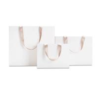 China Custom Logo Popular Boutique Shopping Paper Bag in Gravure Print Design for Shoes for sale