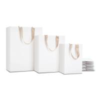 China Custom Logo Popular Boutique Shopping Paper Bag in Gravure Print Design for Shoes for sale