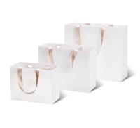 China Custom Logo Popular Boutique Shopping Paper Bag in Gravure Print Design for Shoes for sale
