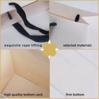 China Craft Customized Size White Black Luxury Gift Shopping Jewelry Paper Bag With Handles for sale