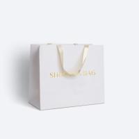 China Apparel Packaging Paper Bag with Customer's Logo and CMYK 4 Color Offset Printing for sale