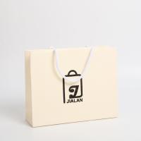 China Jewelry Gift Paper Shopping Bag with Custom Logo and Hand Length Handle Luxury Design for sale