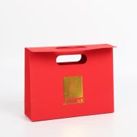 China Jewelry Gift Paper Shopping Bag with Custom Logo and Hand Length Handle Luxury Design for sale