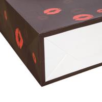 China Customized Luxury Fancy Craft Gift Paper Bag with Logo Print and Gravure Printing Surface for sale
