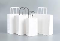 China Hot Style Fashion Blank Twist Handle Kraft Paper Shopping Bag with Hand Length Handle for sale