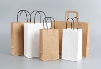 China Hot Style Fashion Blank Twist Handle Kraft Paper Shopping Bag with Hand Length Handle for sale