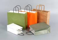 China Hot Style Fashion Blank Twist Handle Kraft Paper Shopping Bag with Hand Length Handle for sale
