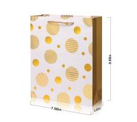 China Custom Color Accepted Gold Foil Logo Gift Craft Shopping Paper Hand Bag With Handle for sale