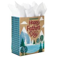 China CMYK 4 Color Offset Printing Custom Colored Organic Eco Luxury Gift Paper Shopping Bags for sale