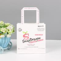 China Takeaway Mini White Kraft Paper Bag With Logo for Custom Print Shopping Gift Packaging for sale
