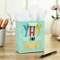 China Handmade Customizable Plain Kraft Paper Bags With Logo for Eco-Friendly Packaging for sale