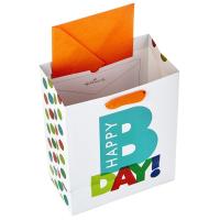 China Craft Happy Birthday Gift Bag With Customized Logo For Birthday Shopping Tote Paper Bag for sale
