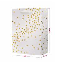 China Art Paper Custom Type Wrapping Luxury Clothing Gift Boutique Shopping Paper Bag for sale