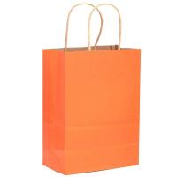 China Retail Multi Colored Kraft Paper Shopping Bags with Folding Style and Custom Pattern for sale