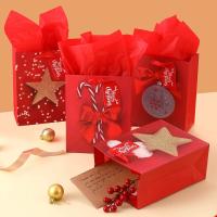 China Fancy Holiday Merry Christmas Gift Shopping Luxury Paper Bags with Customized Logo for sale