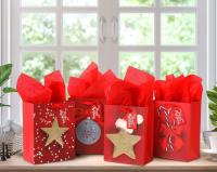 China Fancy Holiday Merry Christmas Gift Shopping Luxury Paper Bags with Customized Logo for sale