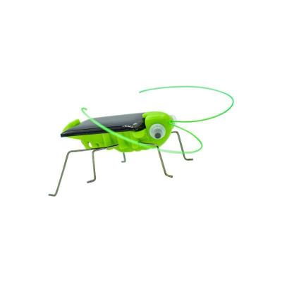 China Solar Powered Grasshopper Toy 45x25x20mm Educational Insect Learning Kit with 5g Lightweight Design for sale