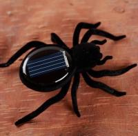 China Solar Spider Toy 90x60mm Solar Powered Eco-Friendly Educational Insect Toy with CE RoHS Certification for sale