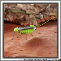 China XRF Mini Solar Grasshopper Educational Toy S-054 45×25×20mm Solar Powered with CE ROHS Certification for sale