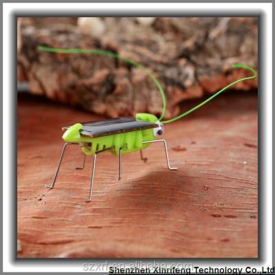 China XRF Mini Solar Grasshopper Educational Toy S-054 45×25×20mm Solar Powered with CE ROHS Certification for sale