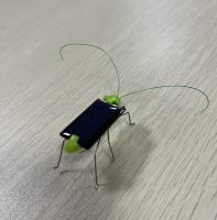 China Mini Solar Grasshopper Educational Toy with Solar Panel - STEM Learning Toy for Kids Ages 6+ for sale