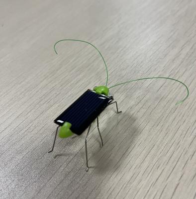 China Mini Solar Grasshopper Educational Toy with Solar Panel - STEM Learning Toy for Kids Ages 6+ for sale