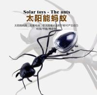 China Patent Fashion Promotional Solar Toy Ant Mini Solar Toys Solar Insect for Children for sale