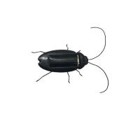 China New Creative Eco-friendly Science Education Electronic Plastic Toy Solar Cockroach Toy for sale